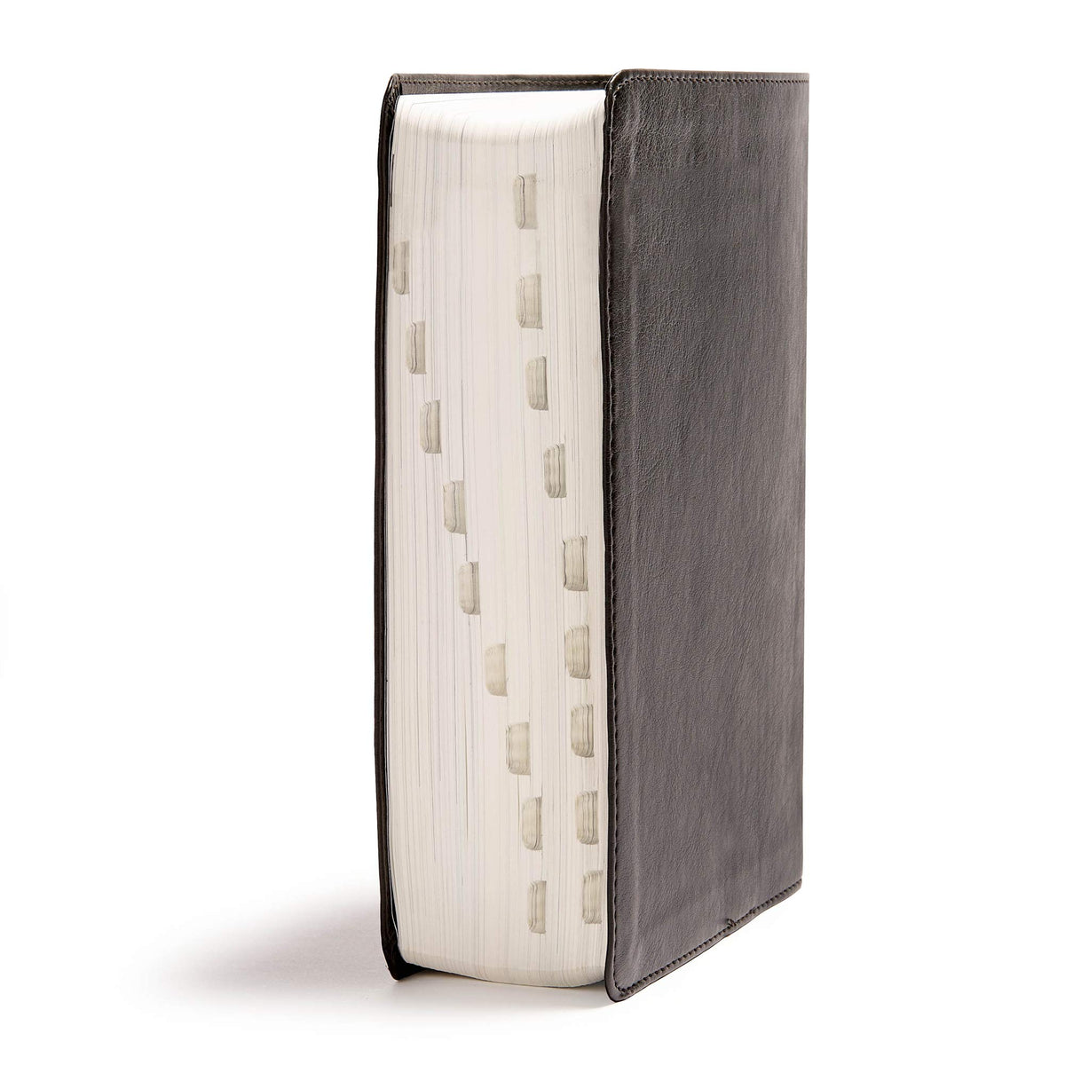 CSB He Reads Truth Bible, Black Leathertouch Indexed – Seedlings Gifts & Books